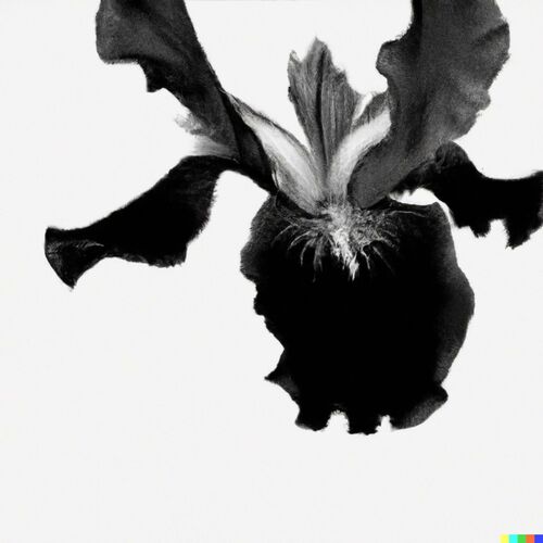 Angel Xxx Albumi Pesme Koncerti Deezer