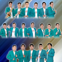 La Súper Banda Señor del Árbol: albums, songs, concerts | Deezer