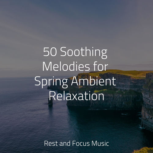 50 Soothing Melodies for Spring Ambient Relaxation - White Noise Baby ...