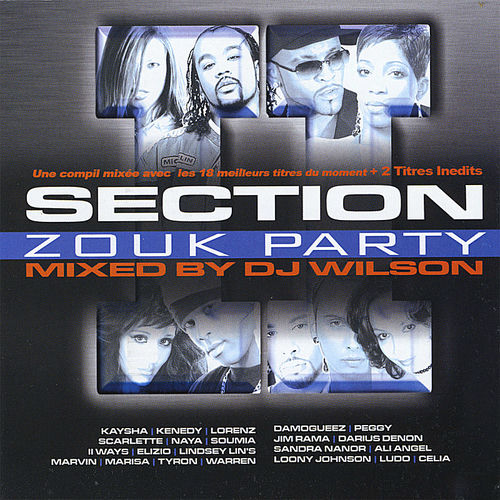 Section Zouk Party, Vol. 2 - Various Artists | Deezer
