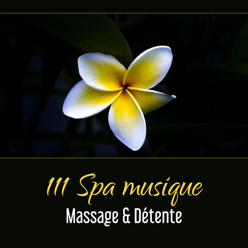 111 Spa musique: Massage & Détente - Méditation anti stress, Relaxation profonde, Sommeil et ...