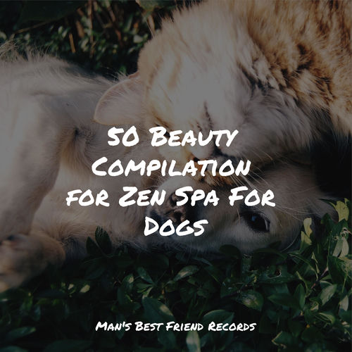 50 Beauty Compilation for Zen Spa For Dogs - Calming Music for Dogs ...