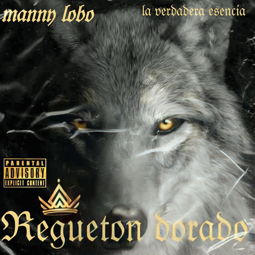 Reggaeton Dorado - Manny Lobo | Deezer