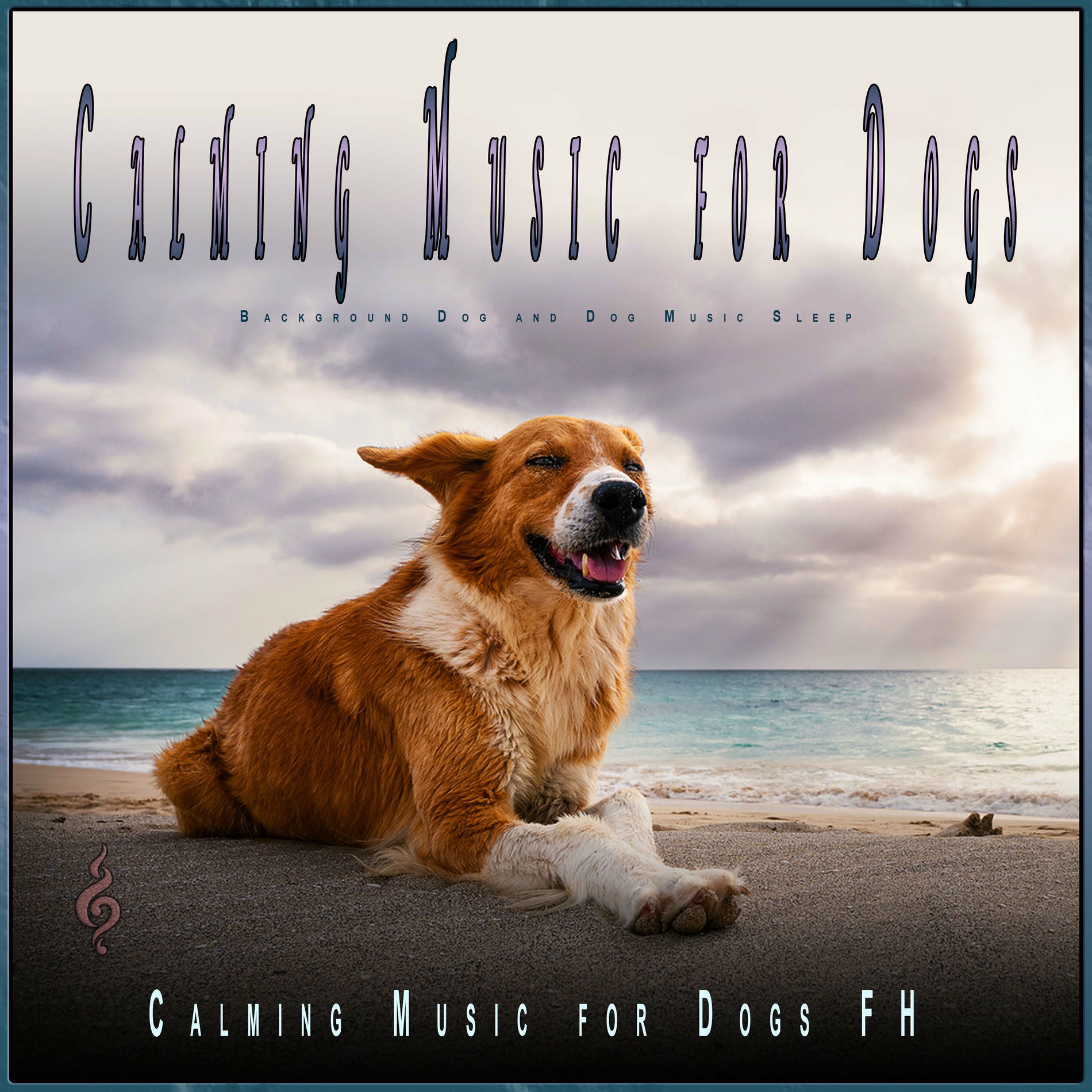 Calming music for dogs store