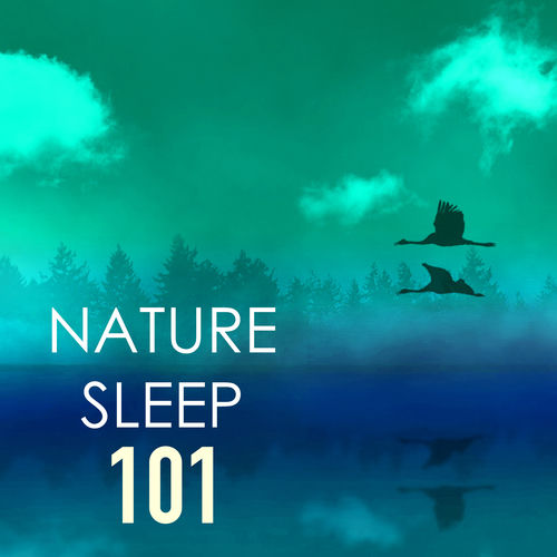 Nature Sleep 101 - Pillow Sounds for Deep Relaxation, Ocean, Rain ...