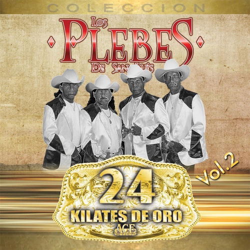 24 Kilates de Oro, Vol. 2 - Los Plebes de San Luis | Deezer