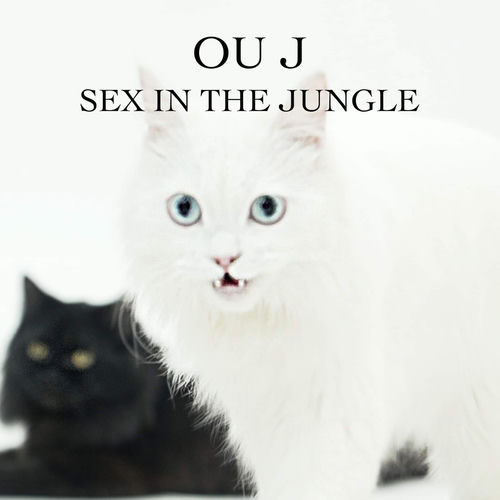SEX IN THE JUNGLE (feat. Soe Zarni Htun) - OU J | Deezer