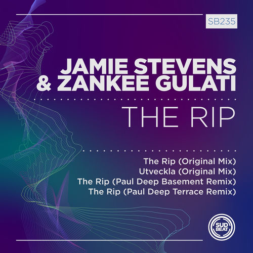 The Rip - Jamie Stevens | Deezer