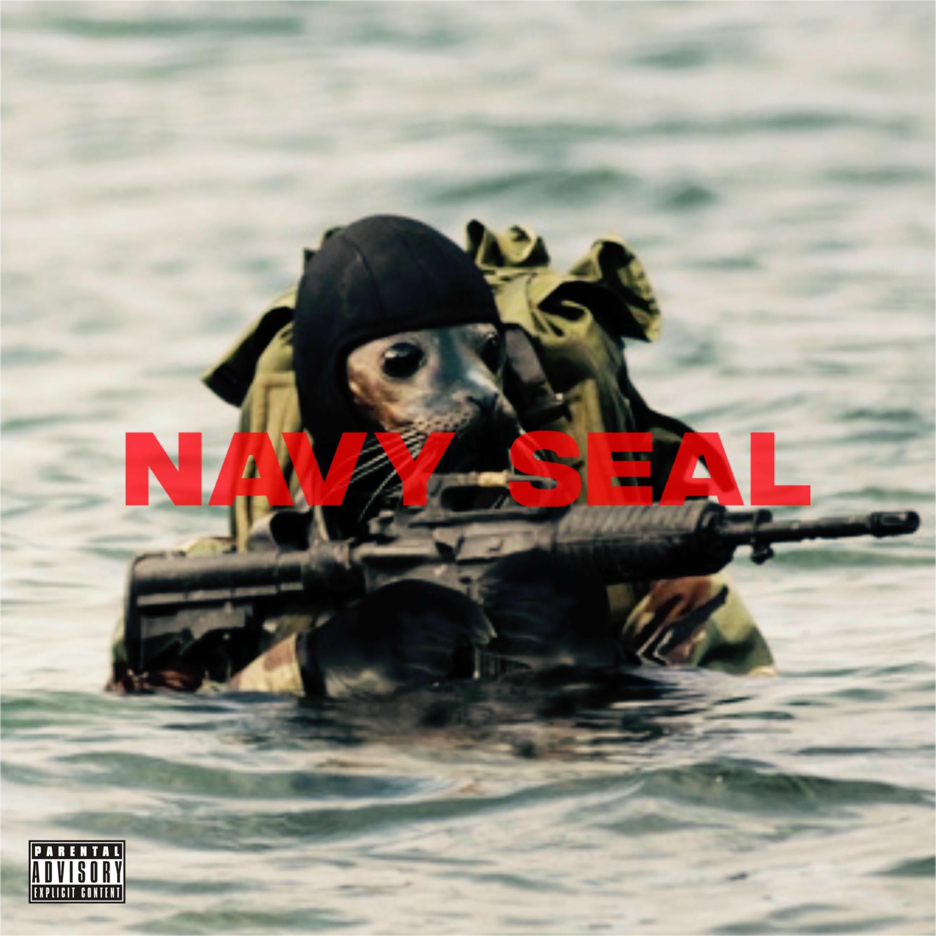 Navy Seals Meme