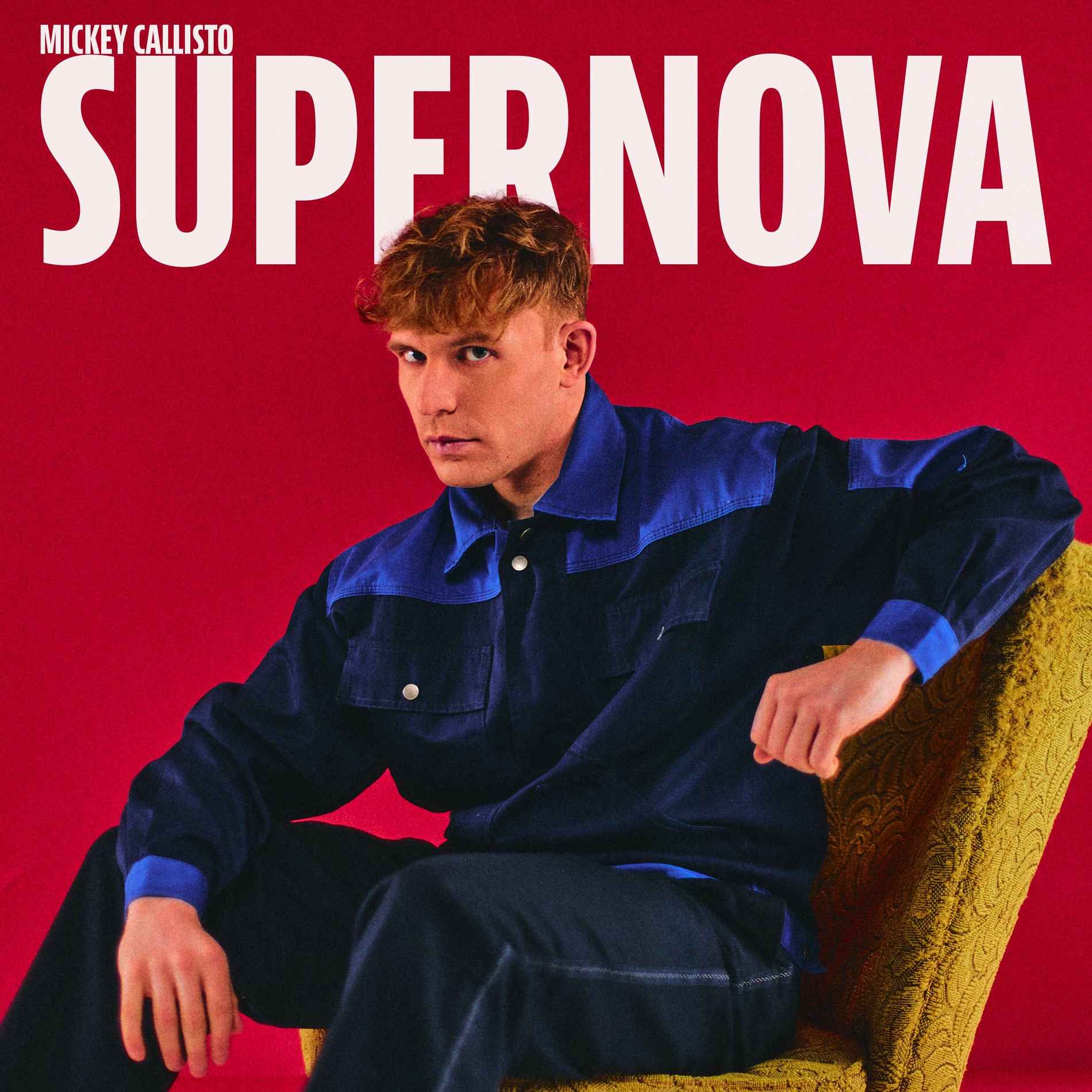 After Viral Bohemian Rhapsody Flash Mob, Mickey Callisto Shuts Down Talk of Replacing Adam ...