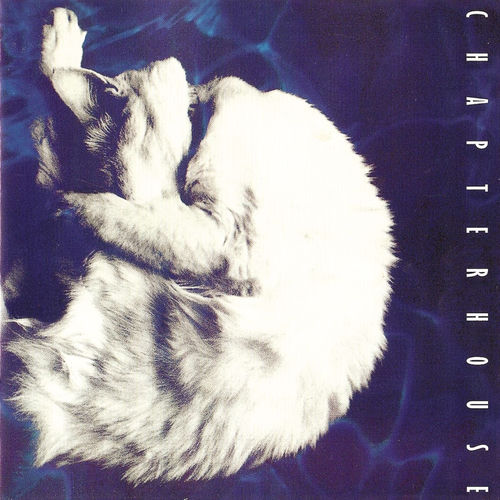 Chapterhouse - Whirlpool (Expanded Edition) | Deezer