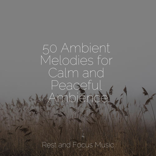50 Ambient Melodies for Calm and Peaceful Ambience - Relaxation Music ...