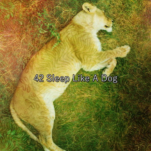 42 Sleep Like A Dog - Relaxation | Deezer