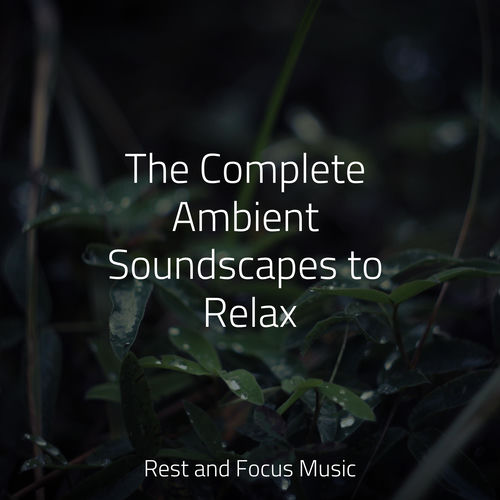 The Complete Ambient Soundscapes to Relax - Study Zone | Deezer