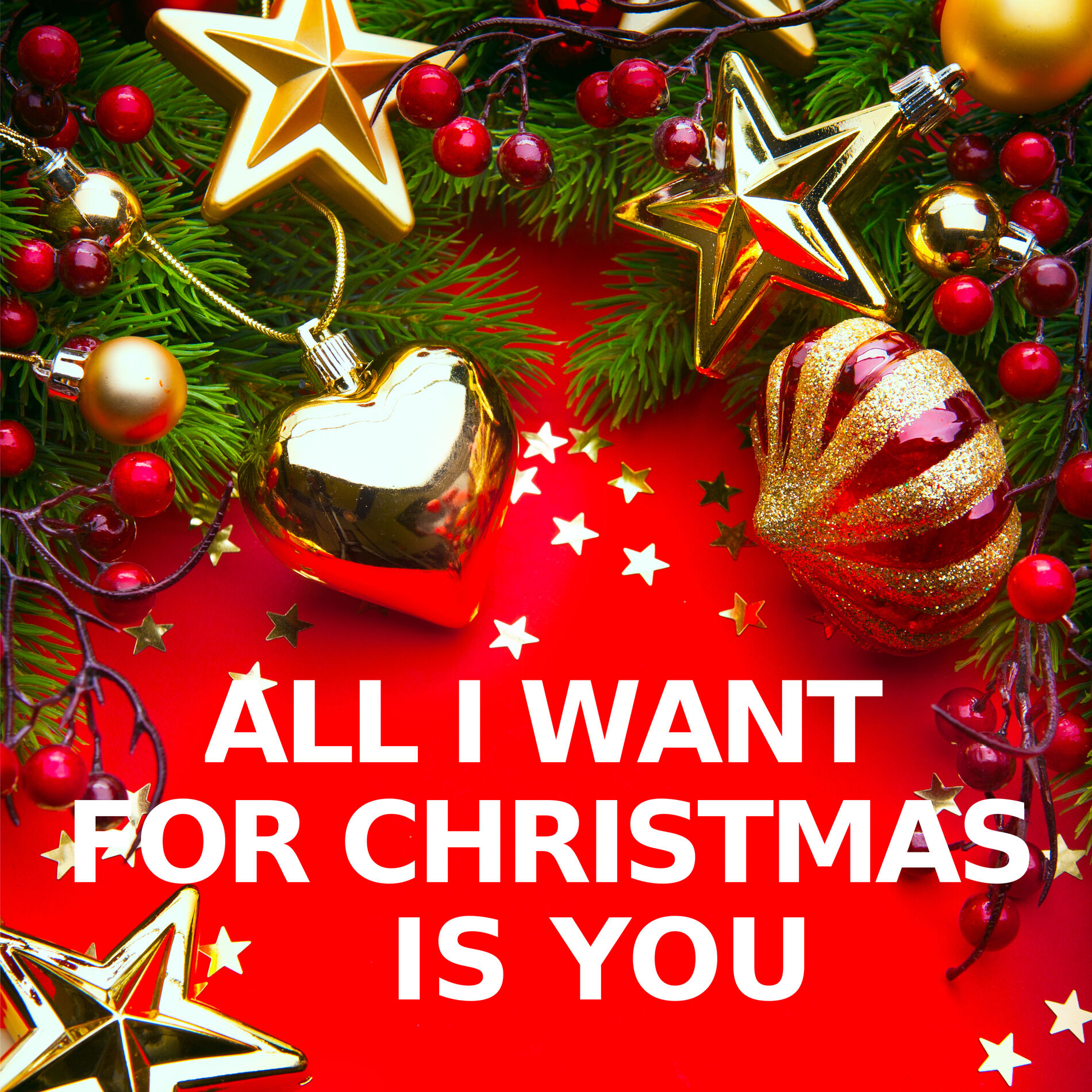 All i want for christmas store