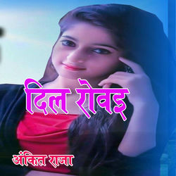 Ankit Raja - DIL ROWAI