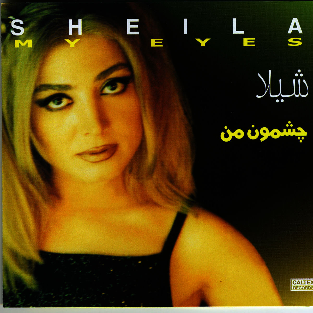 Sheila Toro's Instagram, Twitter & Facebook on IDCrawl