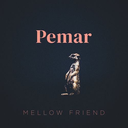 Mellow Friend - Pemar | Deezer