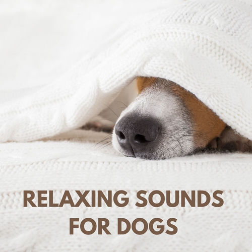 Relaxing Sounds for Dogs - The Dog Relaxer | Deezer