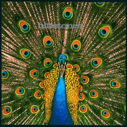 The Bluetones - Slight Return | Deezer