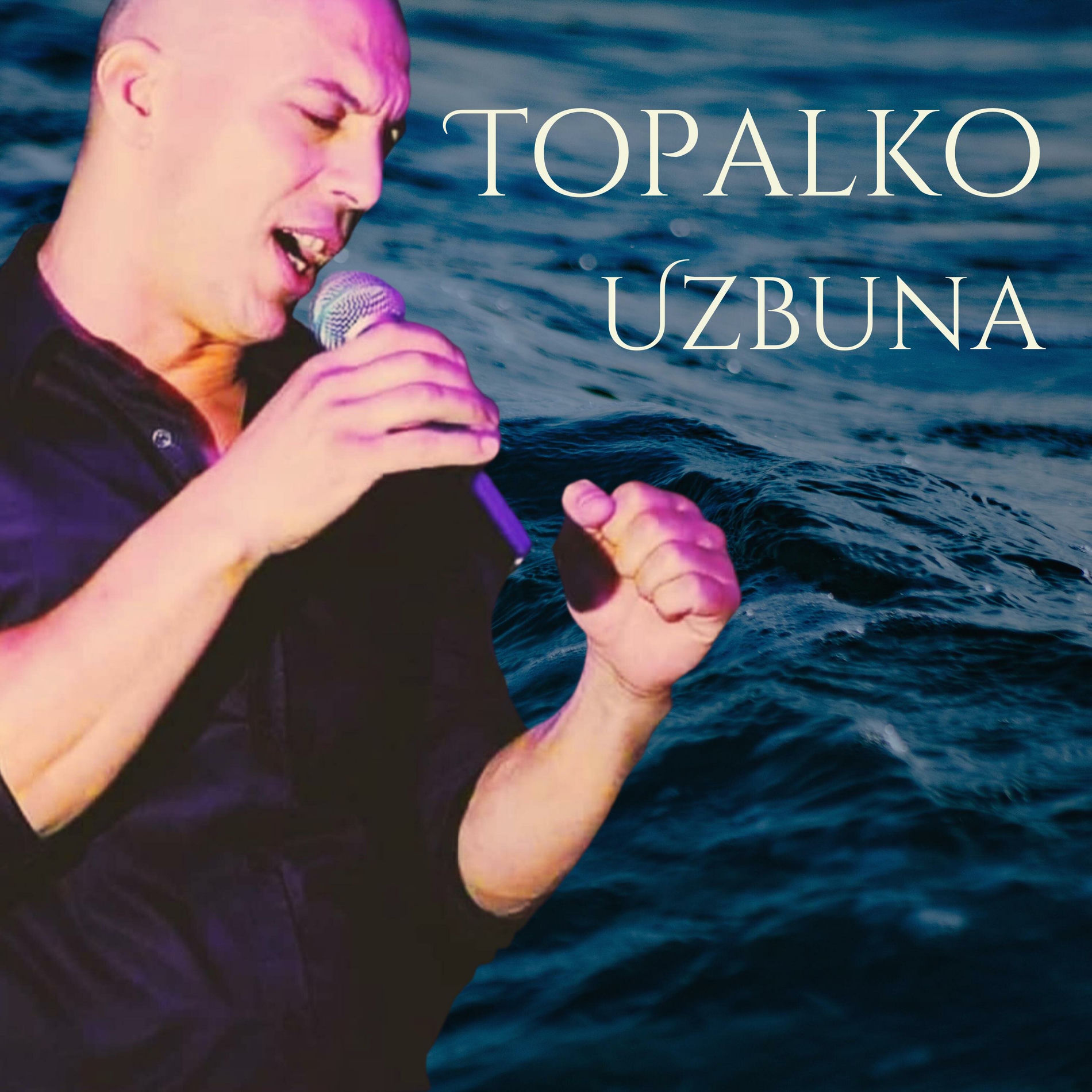 Zavet Milan Topalko Tekst Milan Topalovic Zavet ( Dendza Cover ) +