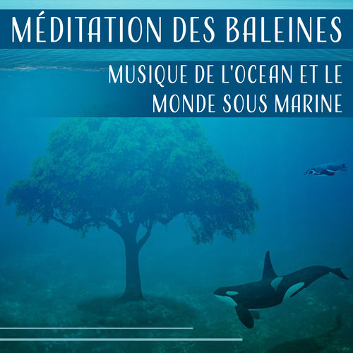 Méditation des baleines (Musique de l'ocean et le monde sous marine ...