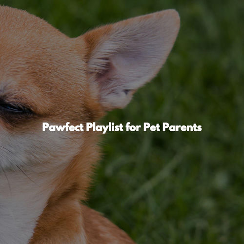 Pawfect Playlist for Pet Parents - Cafe Jazz Paris | Deezer