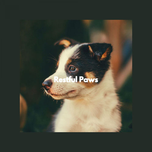 Restful Paws - Relaxing Music for Dogs | Deezer