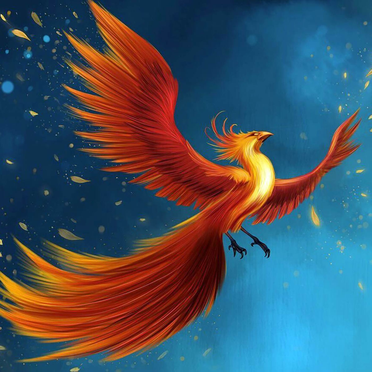 Fox The Phoenix Harry Potter