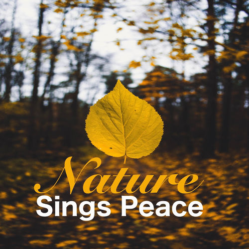 Nature Sings Peace - Peaceful Music | Deezer