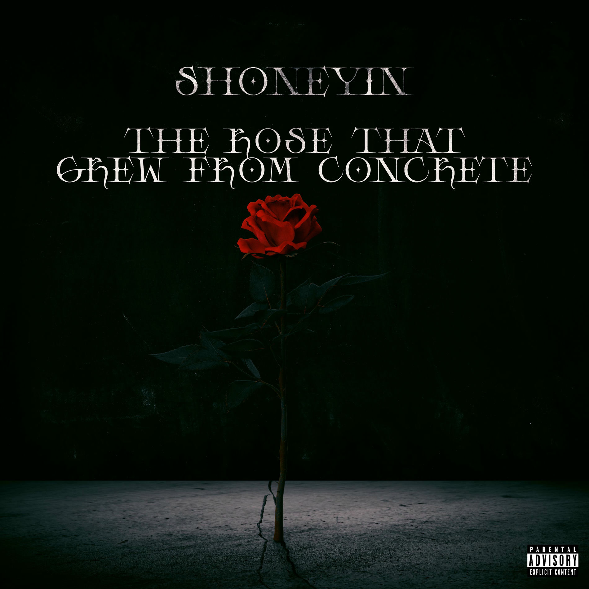 The Rose That Grew From Concrete Latasha Harlins: A Rose That Grew