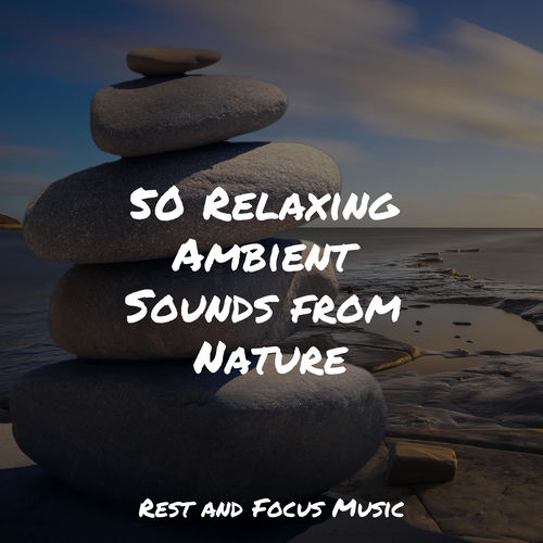50 Relaxing Ambient Sounds from Nature - Meditation | Deezer