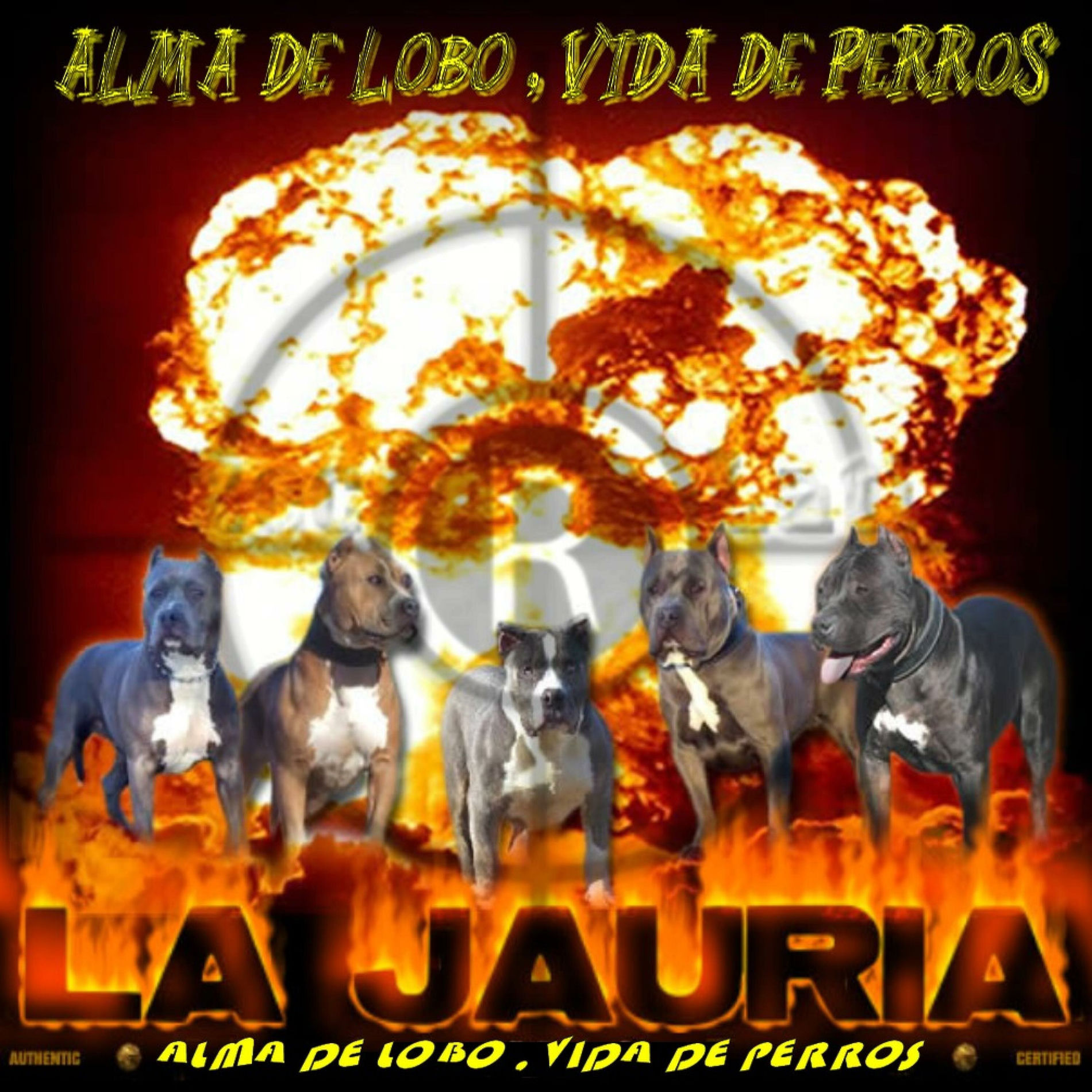 Jauría De Perros Feroces