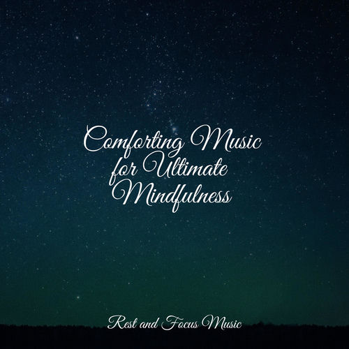 Comforting Music for Ultimate Mindfulness - Best Relaxing SPA Music ...