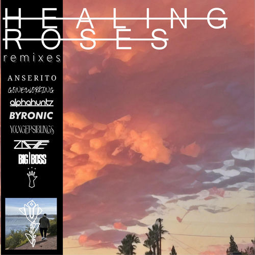 Healing Roses Remixes - Ryse Above All | Deezer
