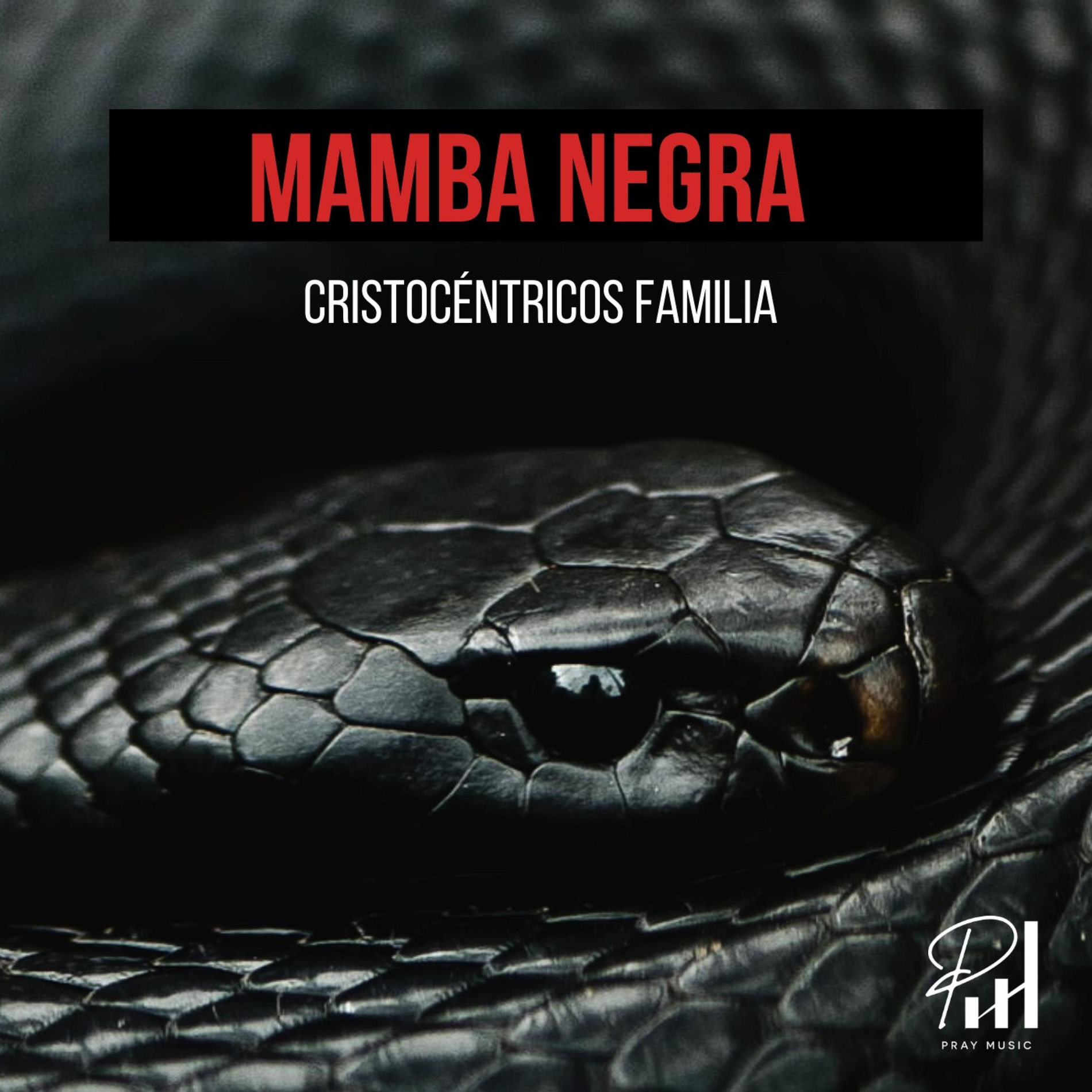 Mamba Negra Fondo De