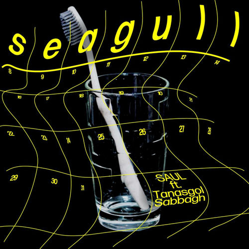 Seagull (feat. Tanasgol Sabbagh) - Saul | Deezer