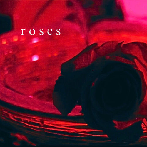Stephen Castillo - ROSES | Deezer