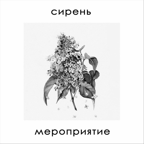 Сирень Мероприятие Deezer