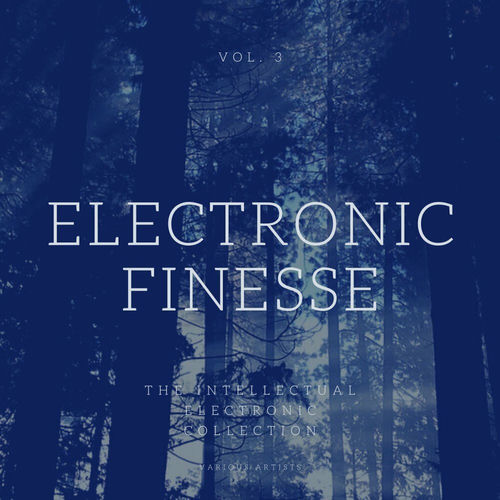 Electronic Finesse (The Intellectual Electronic Collection), Vol. 3 ...
