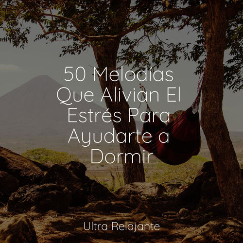 50 Melodías Que Alivian El Estrés Para Ayudarte a Dormir - Musica ...