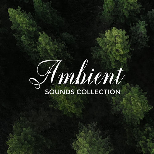 Ambient Sounds Collection: 15 Relaxing Tunes of Ambient Music ...