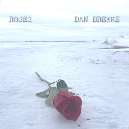 Roses - Dan Brekke | Deezer
