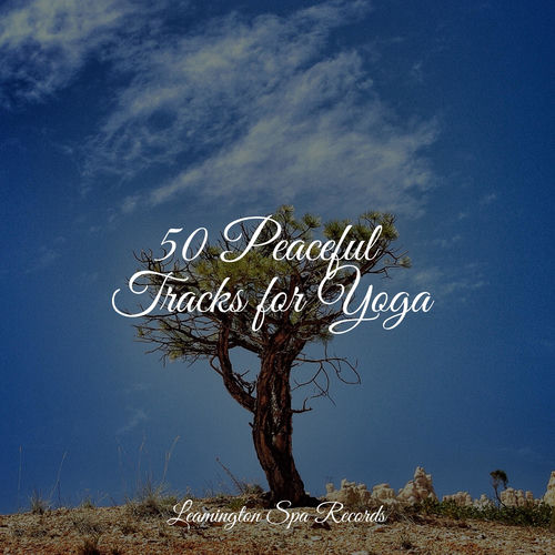 50 Peaceful Tracks for Yoga - Rainforest | Deezer