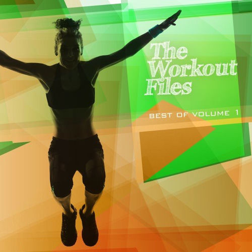 The Workout Files - Best of, Vol. 1 - Vários intérpretes | Deezer