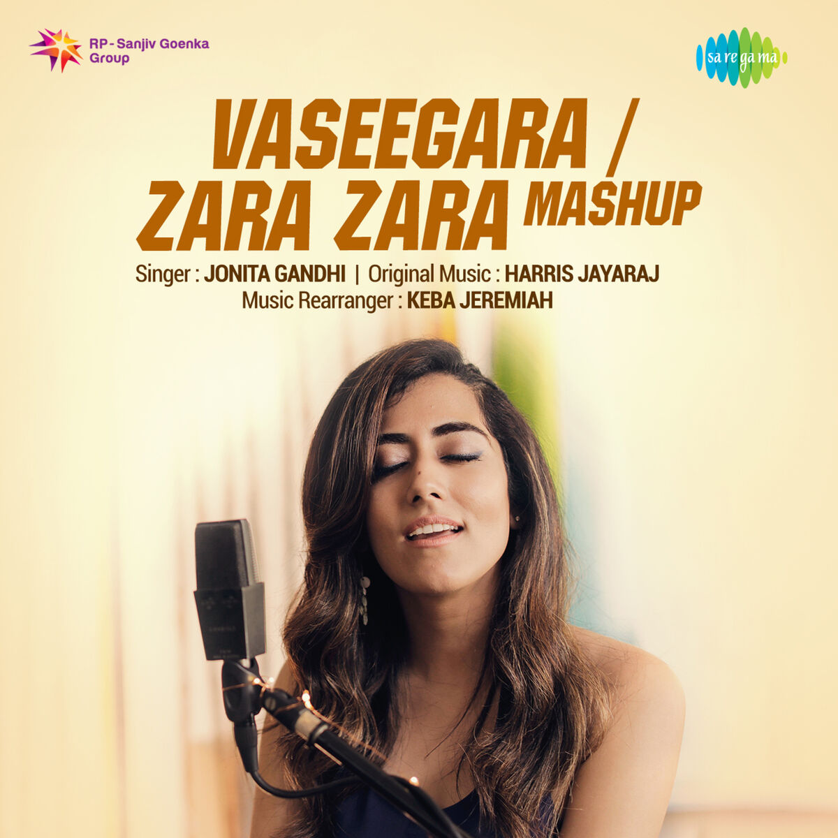 Vaseegara song store