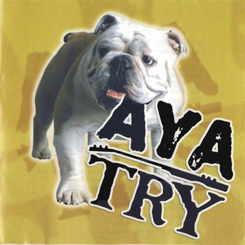 TRY - aya | Deezer