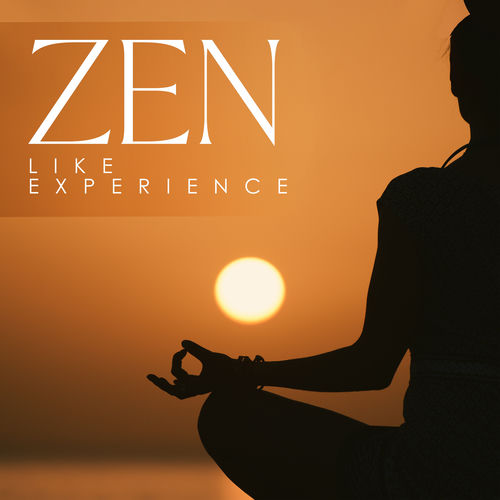 Zen Like Experience: Evening Contemplation Meditation, Daily Meditation ...