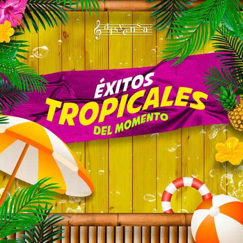Varios Artistas - Éxitos Tropicales del momento: letras de canciones | Deezer