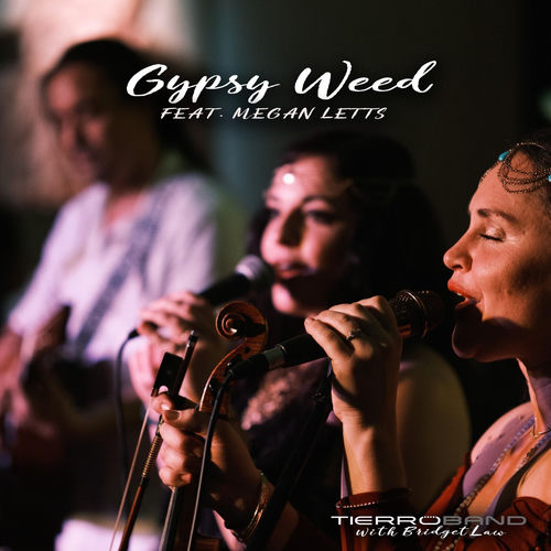 Gypsy Weed - Tierro Band | Deezer